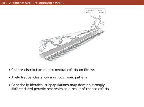 Ppt Genetic Drift Evolution At Random Powerpoint Presentation Free