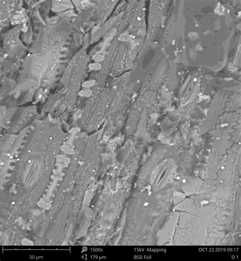 Shows The Sem Micrographs Of Biomass Biochar A And Hybrid Biochar B