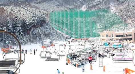 베어스타운리조트 스키장