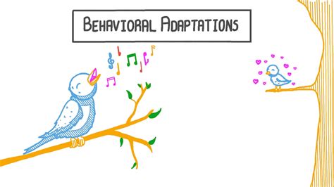 Lesson Video Behavioral Adaptations Nagwa