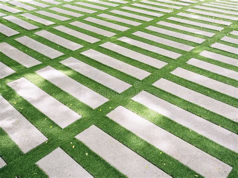 Landscape Design Modern Building Outdoor Hardscape Cement Stair Step With Green Grass Concrete
