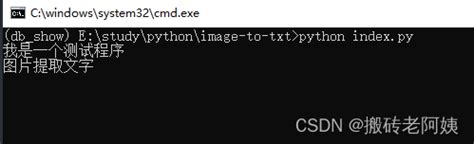 python提取图片文字 python图片文字提取 CSDN博客