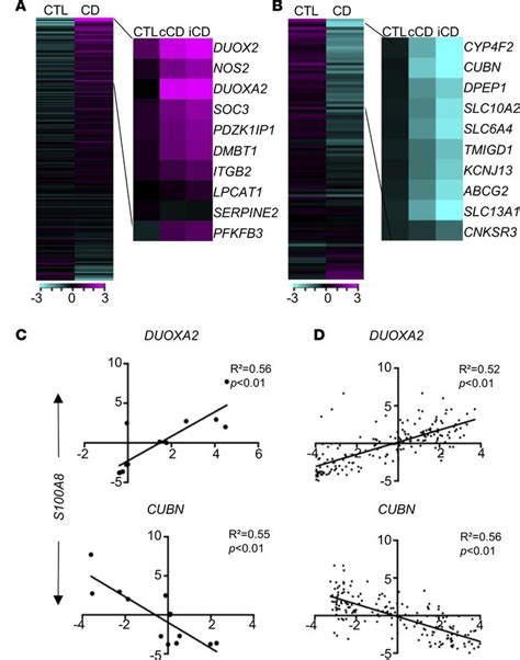 JCI Insight Microbiota Sensitive Epigenetic Signature Predicts Inflammation In Crohns Disease