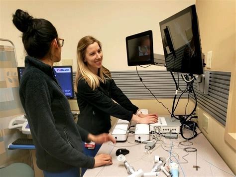 Vascular Surgery Simulation Department Of Surgery