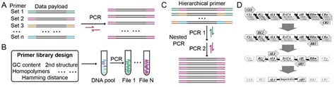 Pcr‐based Random‐access Strategies Ab Selective Data Retrieval By