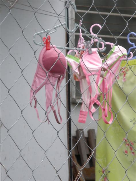 Hunting 004 Porn Pictures Xxx Photos Sex Images 1576267 Pictoa