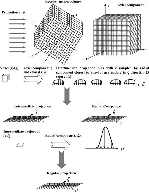 Schematic Presentation Of The Forward Projection Procedure Download Scientific Diagram