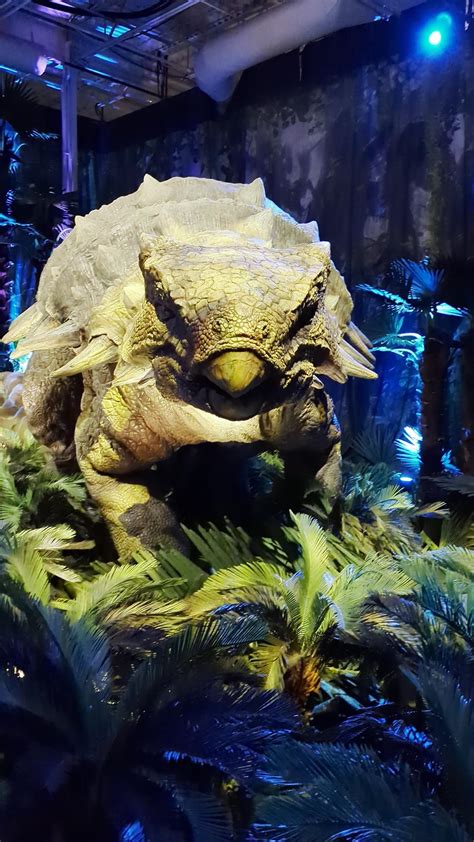 Big Bumpy Ankylosaurus One News Page Video