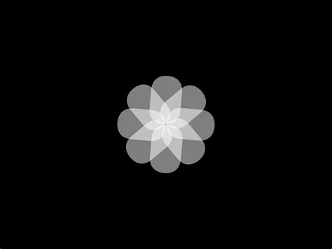 Loading Animation Designs Themes Templates And Downloadable Graphic Elements On Dribbble