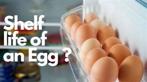 How To Tell If Eggs Are Bad A Comprehensive Guide