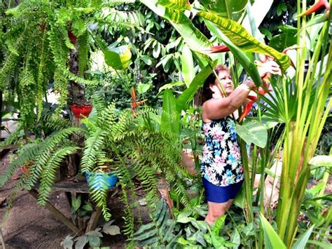 G1 Floricultora Cultiva Mais De Mil Espécies No Quintal De Casa Em