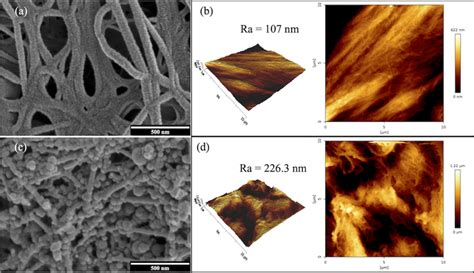 Sem Images And Afm Graphs Of Ab The Pristine Bc Membrane And Cd The
