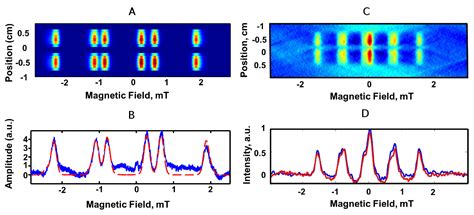 Video Rapid Scan Electron Paramagnetic Resonance Opens New Avenues For