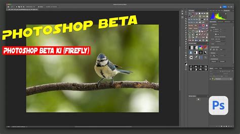 Extra Ausgabe Photoshop Beta KI Firefly YouTube