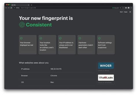 How To Use Lalicat Antidetect Browser With Yiluproxy U Lalicat Official