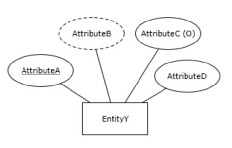 CPSC FINAL Flashcards Quizlet