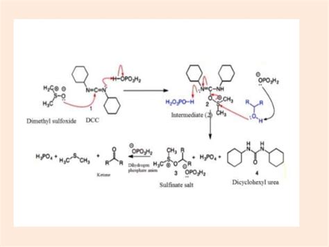Dicyclohexylcarbodiimide Dcc Pptx