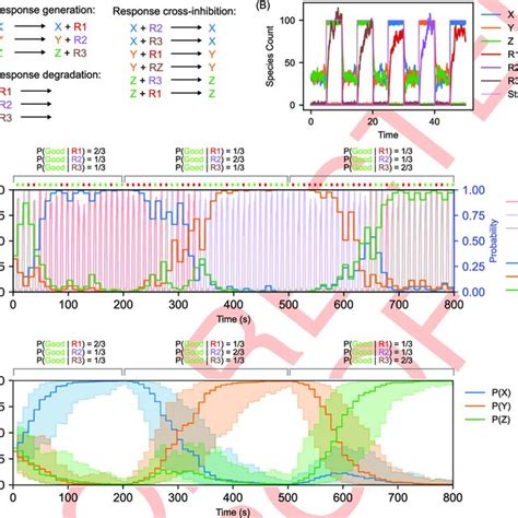 Probabilistic Decision Making In Stochastic Chemical Reaction Networks Download Scientific