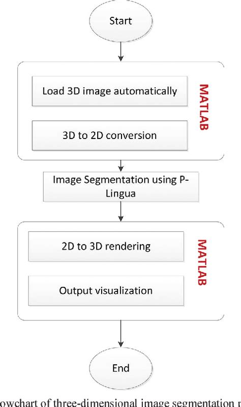 Figure 1 From Three Dimensional Image Segmentation Using Tissue Like P