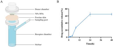Setup To Measure Transdermal Release In Vitro Schematic A And Download Scientific Diagram