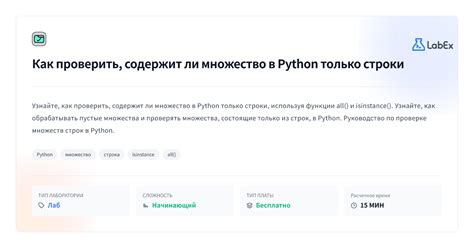 Как проверить содержит ли множество в Python только строки Labex
