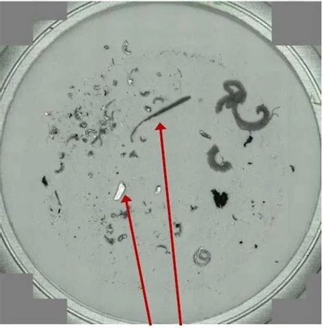 Cleanliness Particle Analysis Or Millipore Cleanliness Test Setup At