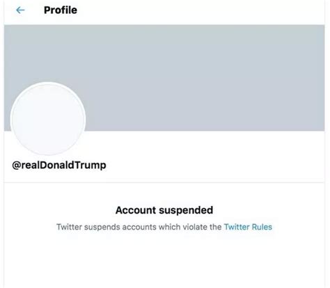 Donald Trumps Twitter Account Permanently Suspended After Incitement