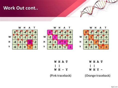 The Needleman Wunsch Algorithm For Sequence Alignment