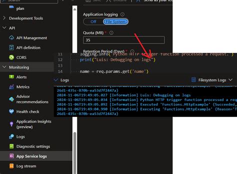 View Output Of Azure Function Implemented With Python On Linux