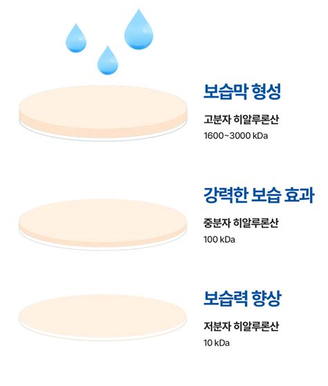토리든 토리든 다이브인 저분자 히알루론산 토너 300ml
