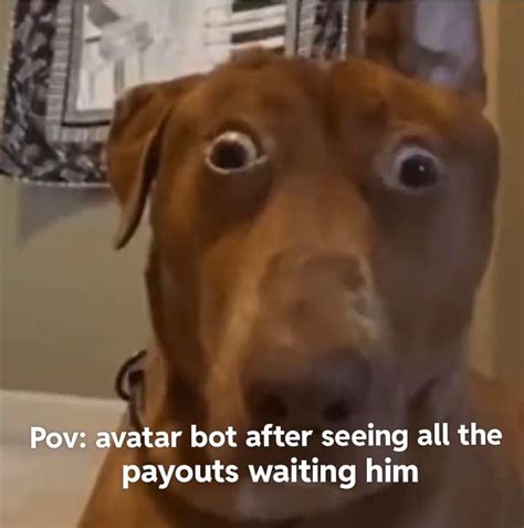 Avatar Bot When He Saw All The Payout He Should Pay R Coneheads
