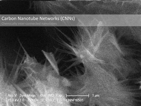 Carbon Nanotube Networks Ppt