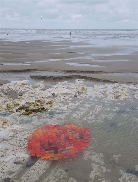 Biographie Expositions En Images Sophie Helene