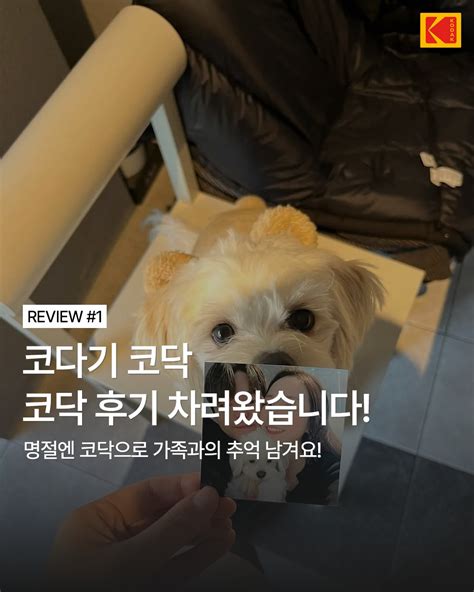 코닥 포토프린터 공식계정 🍡코닥 스마트스토어 스페설 이벤트 새해선물 고민하고있다면⁉️👀 코닥 네이버스토어에서 설 용돈 받자💰 🥇1등 신세계 30만원권 🥈2등