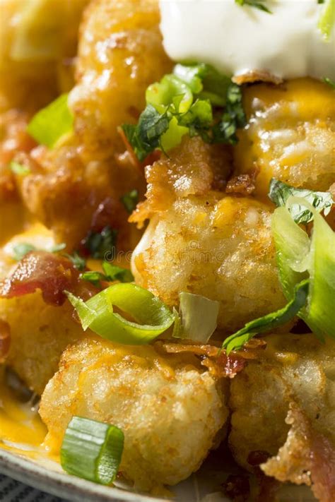 Spicy Homemade Loaded Taters Tots Stock Image Image Of Crunchy Cheese 130393147