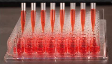 96 Well Cell Culture Plates Thermo Fisher Scientific Cn