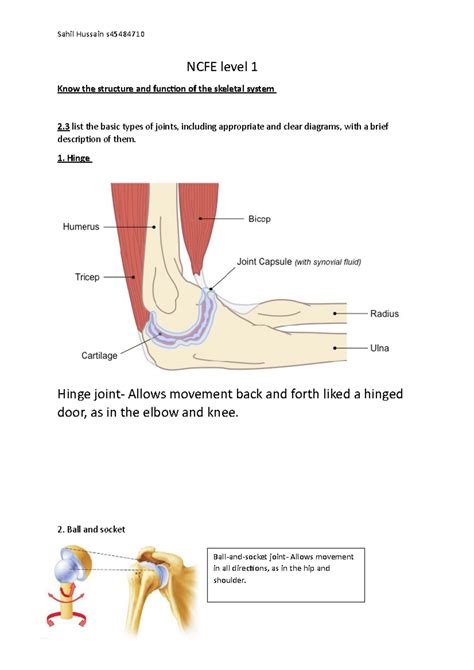 Know The Structure And Function Of The Skeletal System Hinge Hinge Joint Allows Movement Back