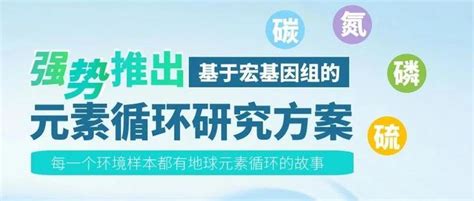 凌恩生物美文分享 基于宏基因组的氮循环分析内容重磅升级！ 知乎
