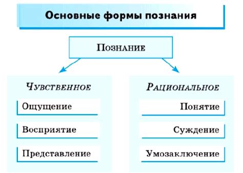Обществознание Боголюбов Учебник §6 - Частная школа. 10 класс