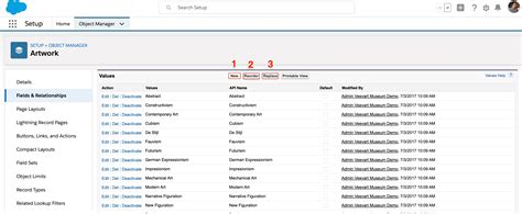 how to modify the values within a picklist field