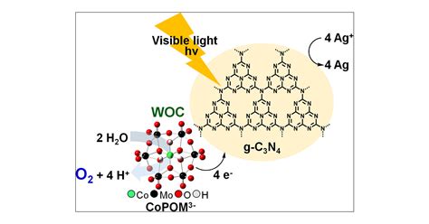 Efficient Visible Light Driven Water Oxidation By A Carbon Nitride Modified With Cobalt