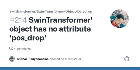 SwinTransformer Object Has No Attribute Pos Drop Issue SwinTransformer Swin