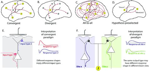 Cortico Cortical Evoked Potential Analysis Paradigms A Download Scientific Diagram
