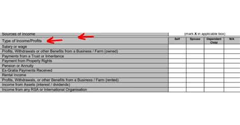 How To Fill SASSA Affidavit Form For An Old Age Grant