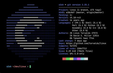 Onefetch V280 Git Repository Summary On Your Terminal Rgit