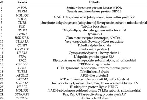 Functional Analyses Of The Identified Hub Genes Download