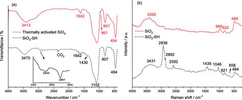 A Ftir And B Raman Spectra Of Sio 2 Sh Download Scientific Diagram