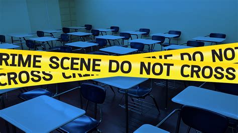 The Guardian Safeschool Program Holistic And Effective School Security Program Cis World Services