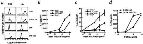 Expression Of Cd2 On The Surface Of Apcs Enhances Antigen Induced