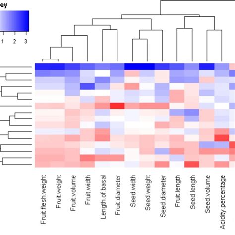 Heatmap And Hierarchical Clustering Dividing The Assessed Date Palm